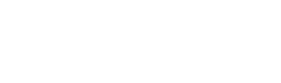 Introduction to Complex Behavior & Bio-Behavioral Model | WA INCLUDE